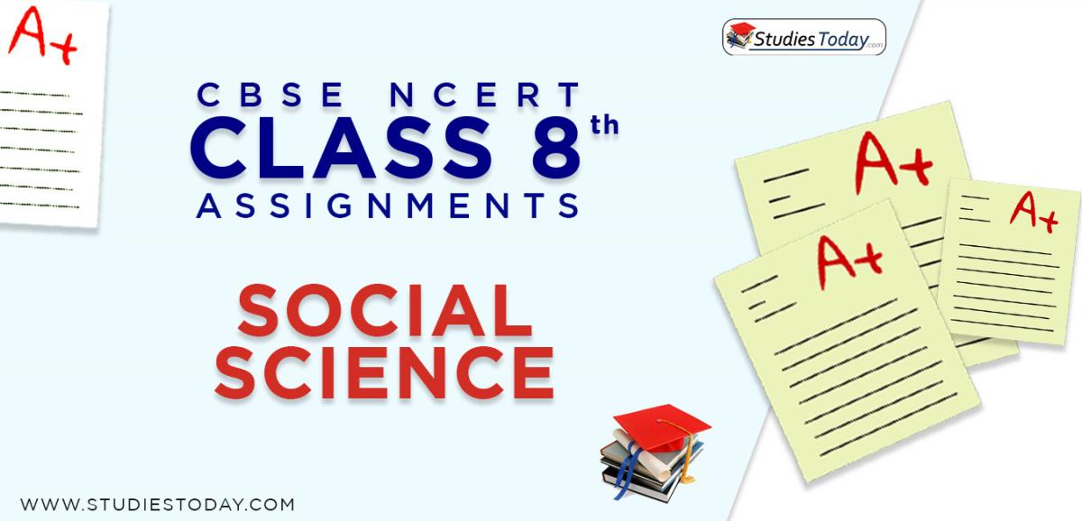 Assignments for Class 8 Social Science Free PDF Download